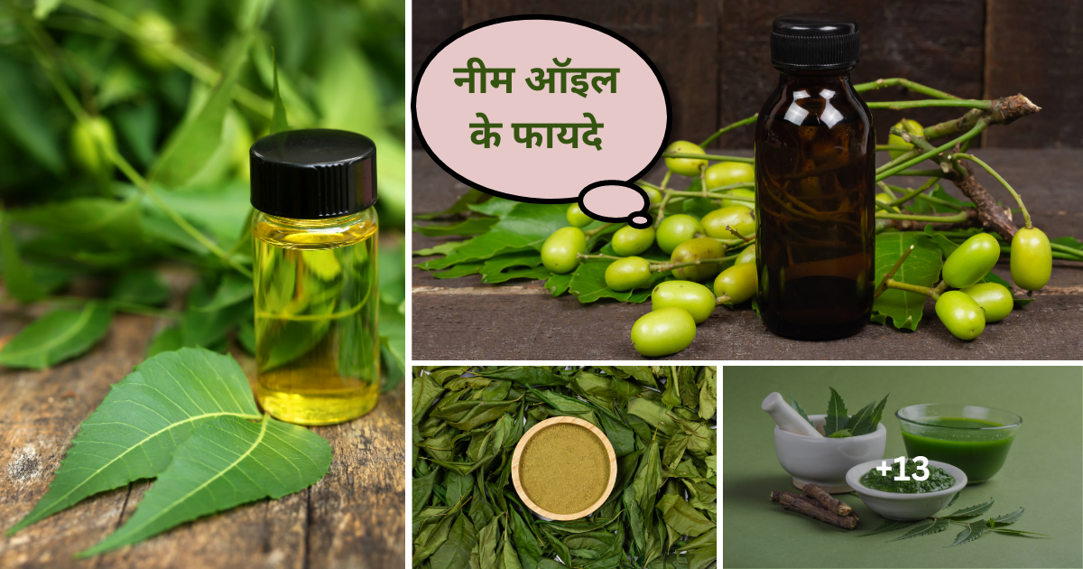 नीम ऑइल के फायदे | Reed More | blog.ivery.in